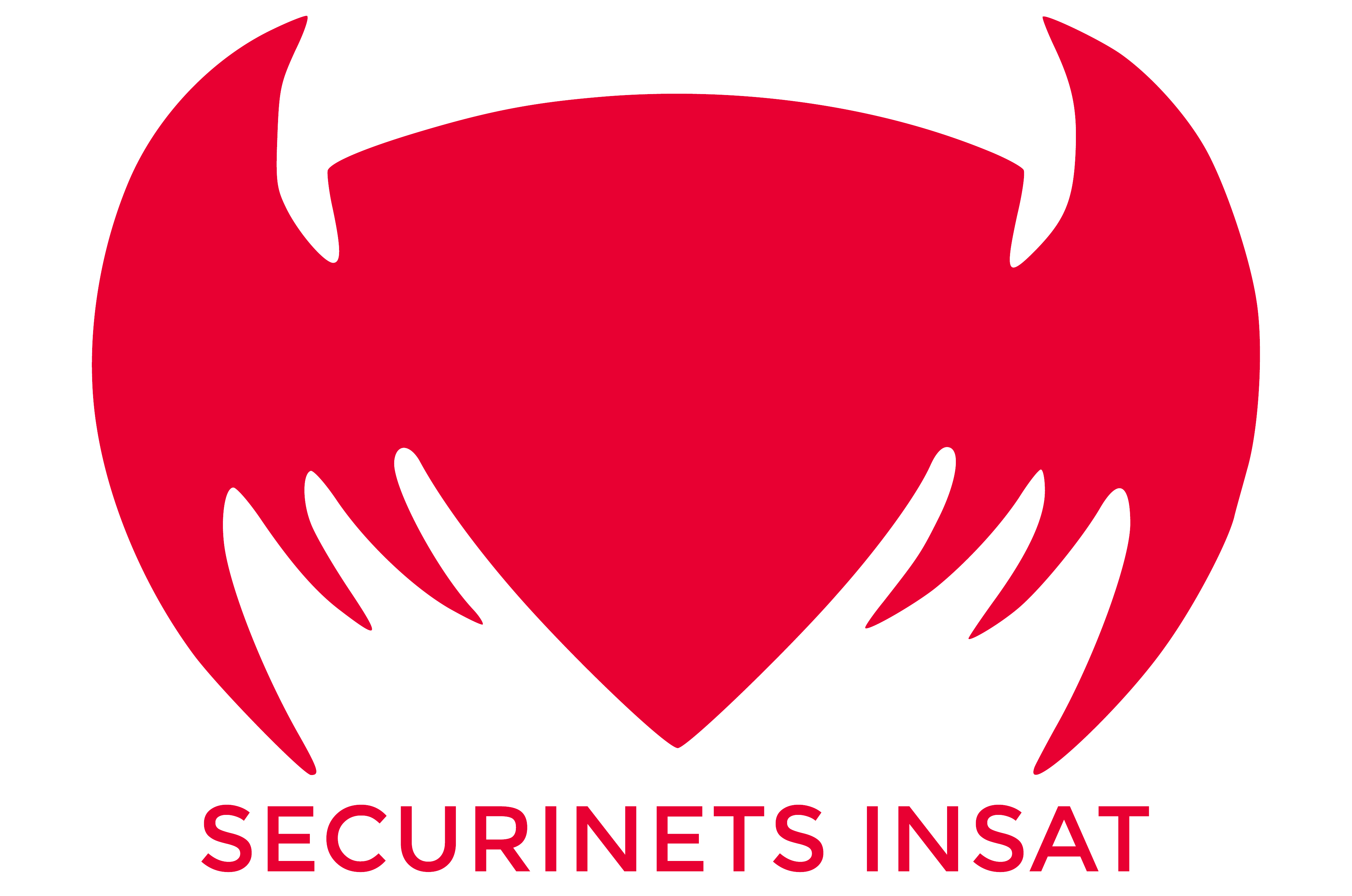 Securinets